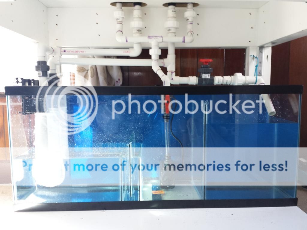 Refugium, supplied by overflow or return pump | Reef2Reef